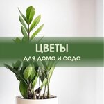 Asm_plants (Glavnaya Kirovskaya ulitsa No:47/7), çiçekçiler  Irkutsk'tan