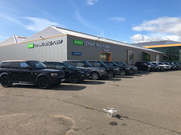 Çiçekçiler Starlight, Moskova ve Moskovskaya oblastı, foto