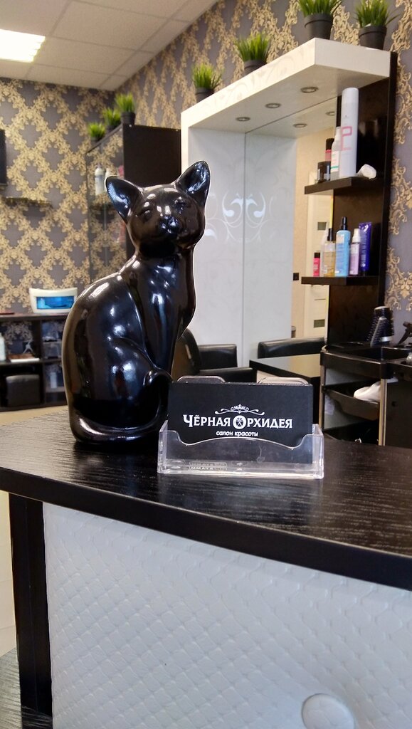 Güzellik salonu Black Orchid, Orlovskaya oblastı, foto