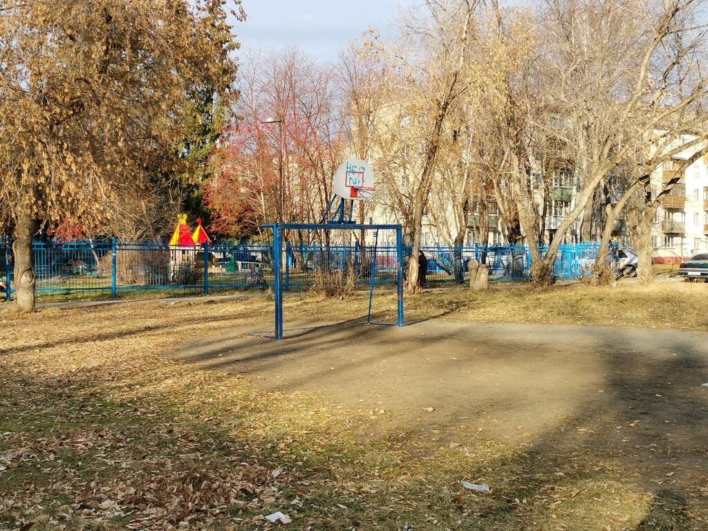 Spor alanı Футбольное поле, Novosibirsk, foto