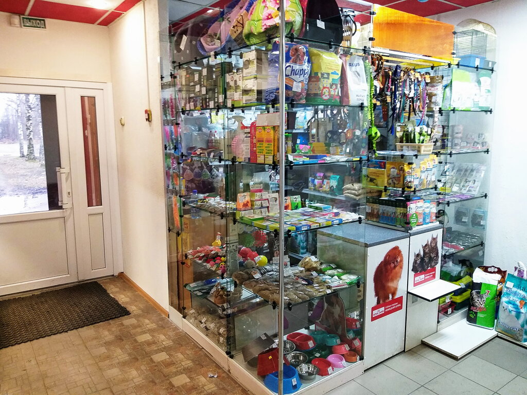 Petshop Pet Supplies Living Corner, Novgorodskaya oblastı, foto