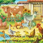Магазин Комбикорма и Зоотовары (ulitsa Narskogo No:7А, Ostrogozhsk), yem ve yem katkı maddeleri  Ostrogojsk'tan