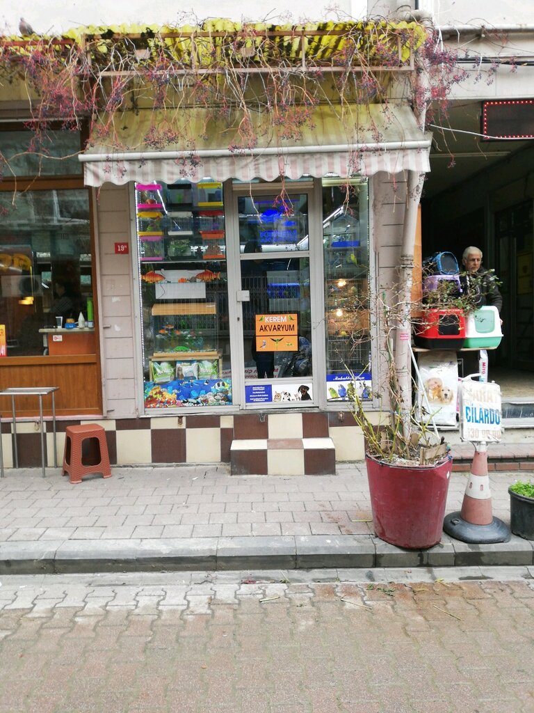 Petshop Kerem Akvaryum, İstanbul, foto