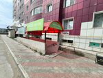 Кактус (No:35, 203rd Microdistrict), çiçekçiler  Yakutsk'tan