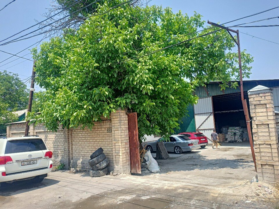 Tarım ürünleri firmaları Oasis Agro, Bişkek, foto
