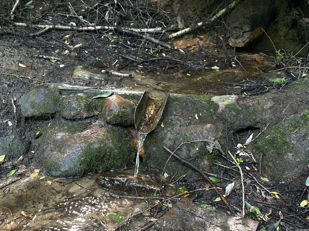 Pınar, çay Spring, stream, Moskova, foto