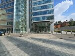 Elwi (Gasheka Street No:6), hukuk büroları  Moskova'dan