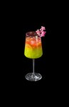 Zapoy Gastrobar (Leningradskoye Highway No:68), bar  Moskova'dan