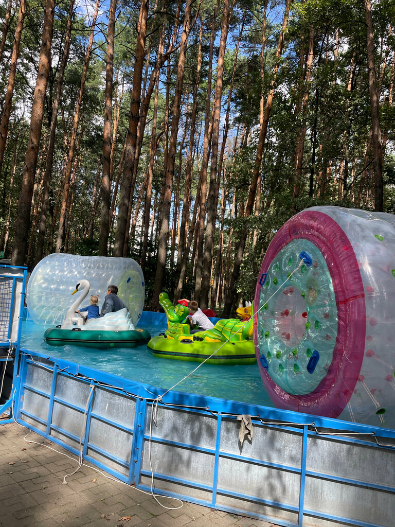 Atraksiyon Лодочки, Domodedovo, foto