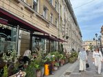Welcome Home (Saint Petersburg, Malaya Sadovaya Street, 3/54), short-term housing rental  Saint‑Petersburg'dan