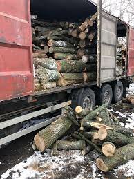 Yakıt firmaları Vitebskye drova, Vitebsk, foto