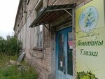 Хладокомбинат (ulitsa Kuznetsova No:19к9, Kotlas), depo hizmetleri  Kotlas'tan