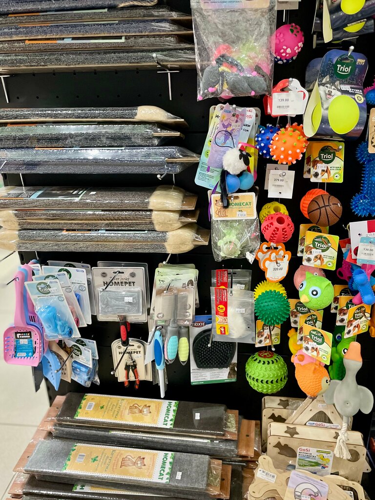 Petshop Сорока и хомяк, Dmitrov, foto