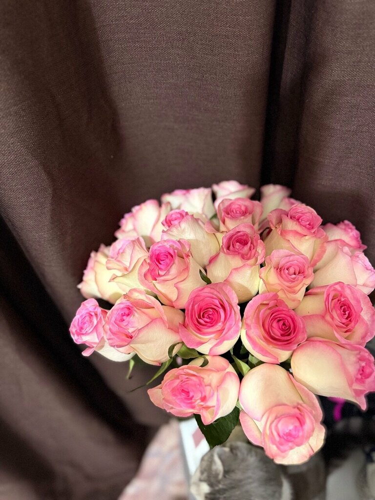 Çiçekçiler Florianna, Kostanay eyaleti, foto