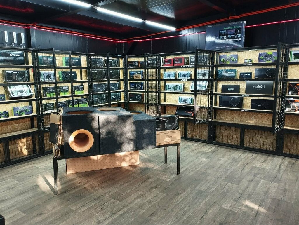 Oto ses sistemleri У птички, Samara, foto