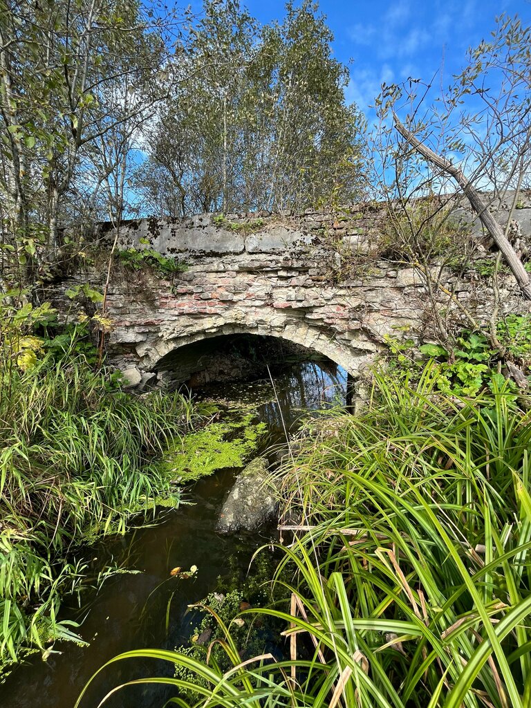 Turistik yerler Акведук Таицкого водовода через реку Кузьминку, Puşkin, foto