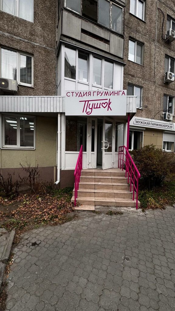 Evcil hayvan kuaförleri Pushok, Tiumen, foto