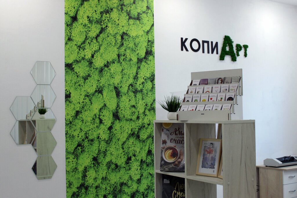 Fotokopi dükkanları КопиАрт, Verhniaya Pyşma, foto