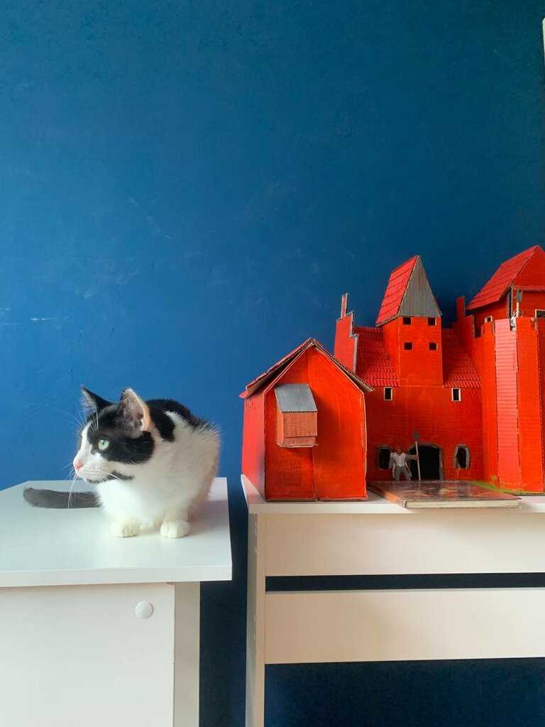 Müzeler ve sanat galerileri Кошки и макеты замков, Kaliningrad, foto