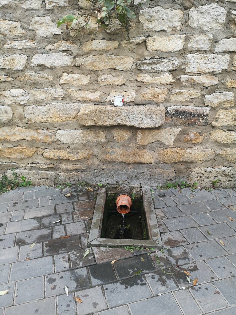 Pınar, çay Spring, stream, Zadonsk, foto