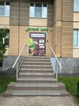 Полиглотики (Korolyova Avenue No:39к1), yabancı dil kursları  Saint‑Petersburg'dan