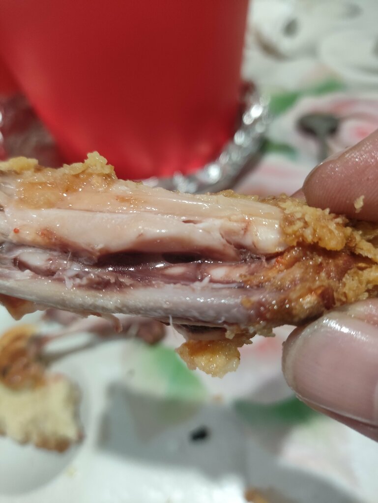 Fast food Shaverma Cauldron, Çuy ili, foto