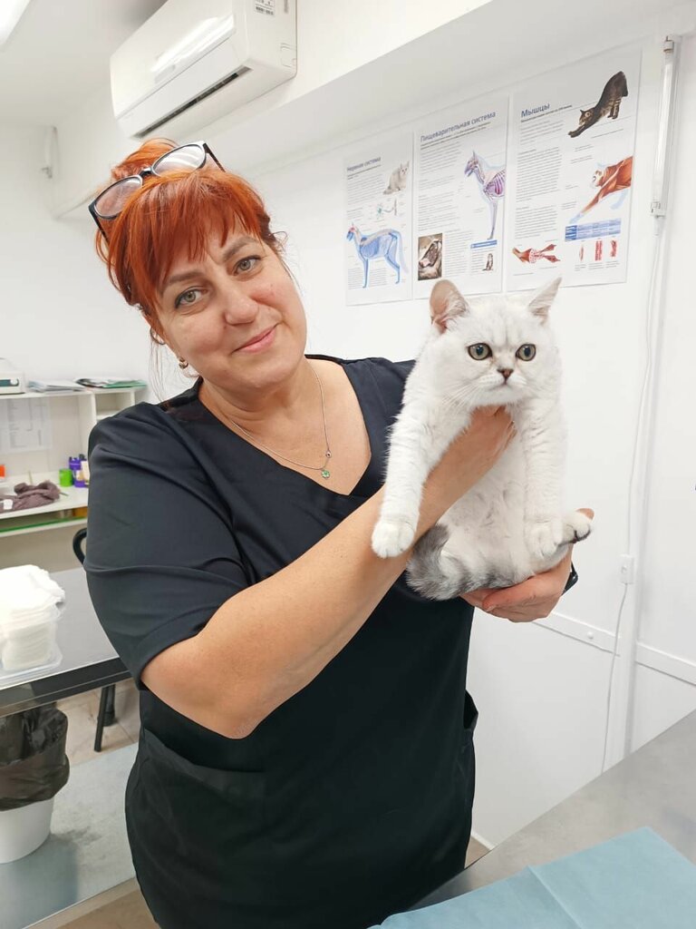 Veteriner klinikleri Пух и Панда, Krasnodar, foto