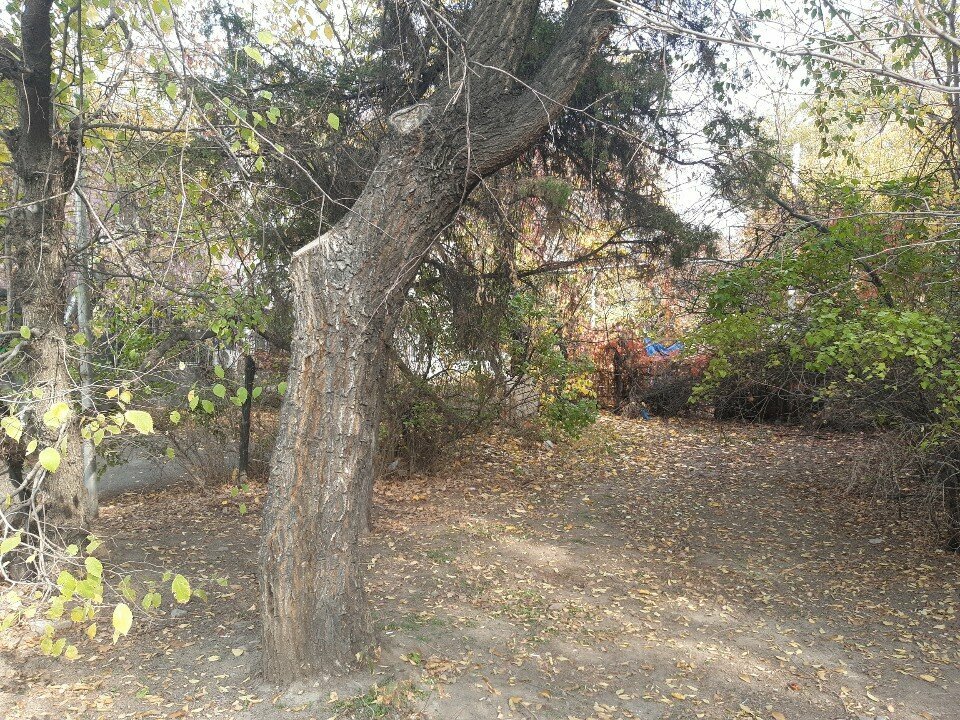 Paketleme malzemeleri firmaları My-pack, Almatı, foto