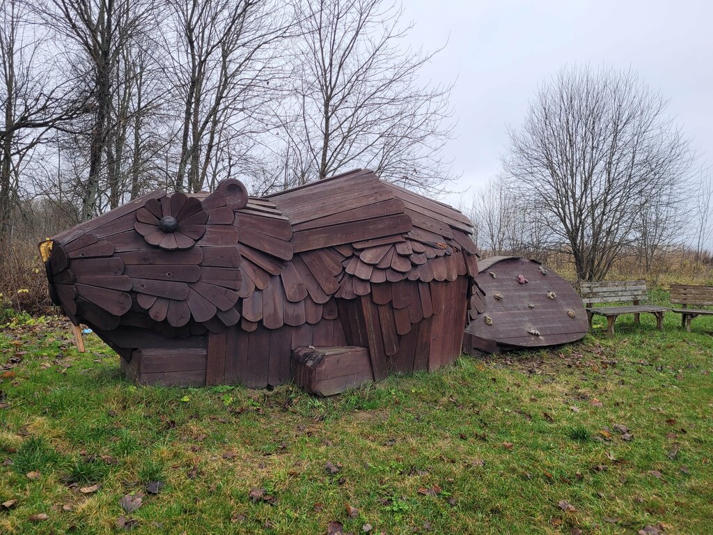 Park, sokak heykeli Бобёр, Moskova ve Moskovskaya oblastı, foto