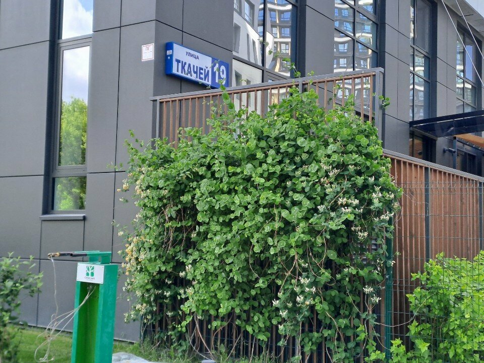 Konut servisleri kuruluşları Clever Service, Yekaterinburg, foto