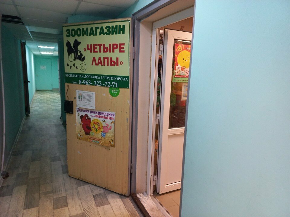 Petshop Chetyre lapy, Sosnoviy Bor, foto