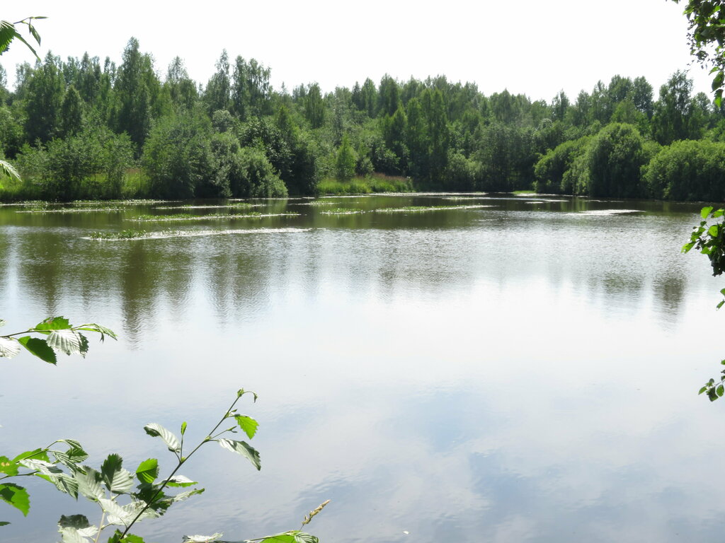 Kültür ve eğlence parkları Termanskiy Square, Petrozavodsk, foto