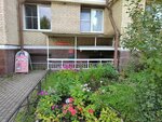 Альфа (Tsentralnaya ulitsa No:4, Yuzhniy Microdistrict), yönetim ofisi  Vsevolgsk'tan