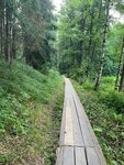 Озеро Светлояр (Nizhniy Novgorod Region, Voskresenskiy munitsipalny okrug, selo Vladimirskoye, Sovetskaya ulitsa), toplu taşıma durağı  Nijegorodskaya oblastından