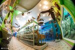 Zoologichesky muzey (проспект Академика Вернадского No:4), müzeler ve sanat galerileri  Simferopol'dan (Akmescit'ten)