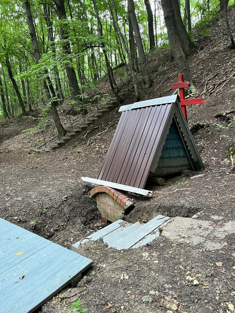 Orman урочище Винница, Belgorodskaya oblastı, foto