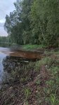 Родник Солдатский (Leningrad Region, Kingisepp), pınar, çay  Kingisepp'ten