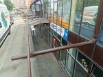 Bars (Kulakova Avenue No:51, Stavropol), spor kulüpleri  Stavropol'dan