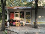 Продукты (Moskovskaya Street No:49А), market  Vladikavkaz'dan