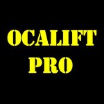 Ocaliftpro (No:12, Izumrudniy Quarter), vinç firmaları  Balaşiha'dan