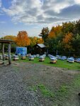 Мёд-пасека Урман (Saratovskaya ulitsa No:17, Khvalynsk), bal ve arıcılık firmaları  Hvalynsk'ten