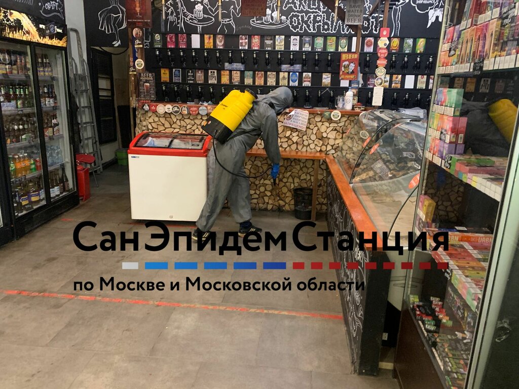 Haşere ilaçlama firmaları SesStation, Moskova, foto
