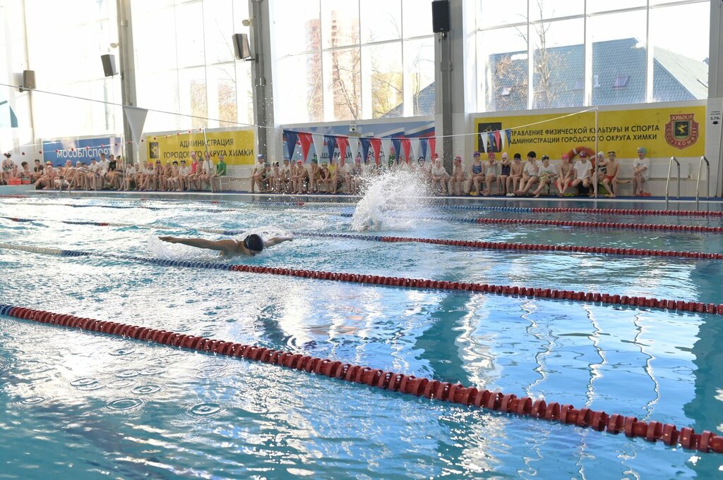 Yüzme havuzları Swim Champions School, Himki, foto