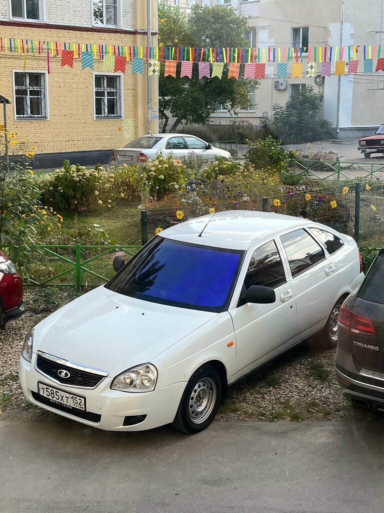 Araç camlarının renklendirilmesi Тонировка у Sergeecha, Nijegorodskaya oblastı, foto