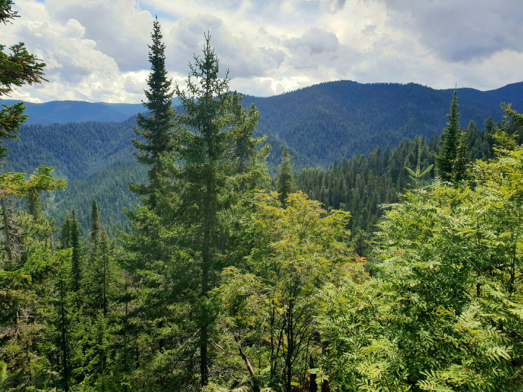 Dağ zirvesi Mountain peak, İrkutskaya oblastı, foto