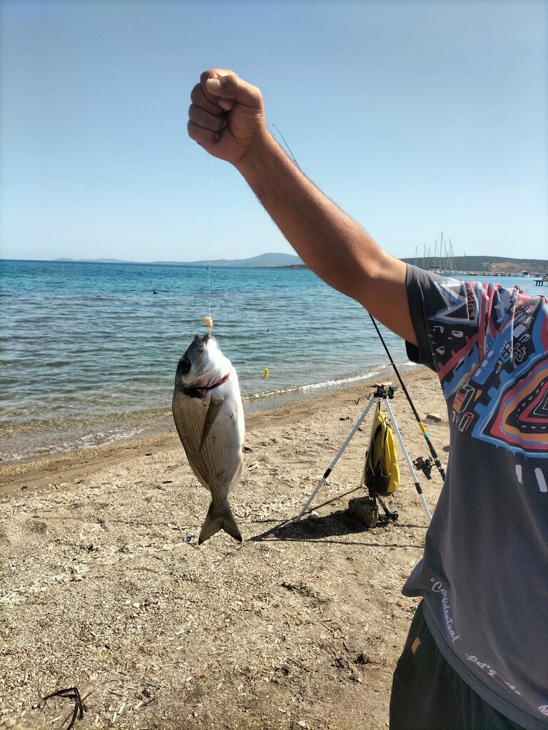 Plaj Balıklıova Plajı, Urla, foto