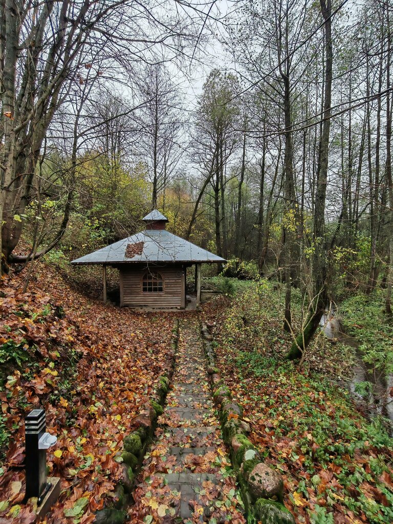 Şapel, haç anıtı Купель святого великомученика Пантелеймона-целителя, Minskaya oblastı, foto
