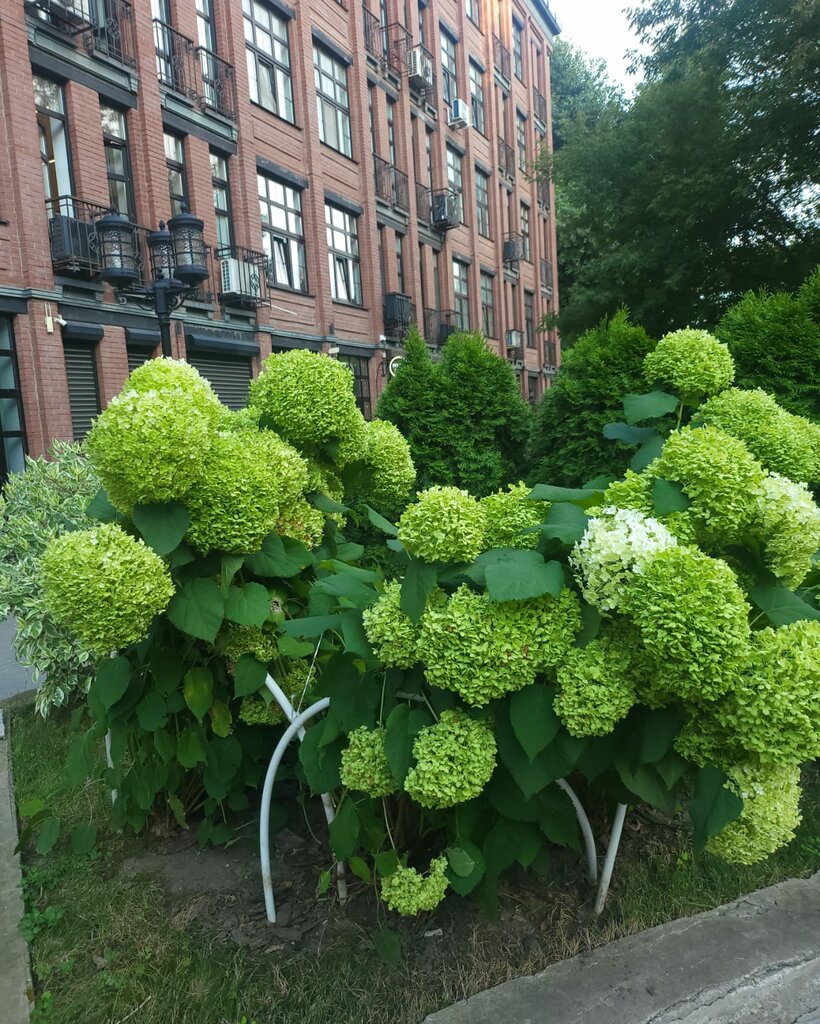Seramik fayans Bath. Room. Interior, Moskova, foto