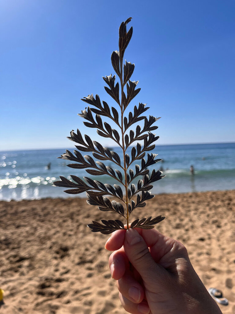 Restoran Plaj, Alanya, foto