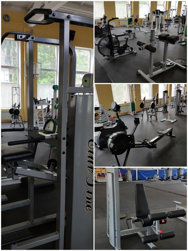 Çok amaçlı spor tesisleri Elegia Sports and Recreation Complex, Borovichy, foto